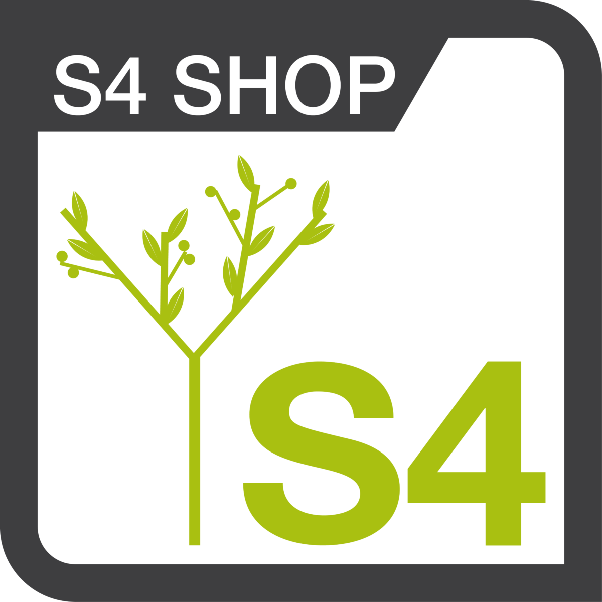 S4 World – The world of S4